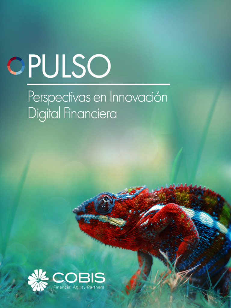 Reporte Project Pulso Completo Final | PDF | Bancos | Industrias de ...