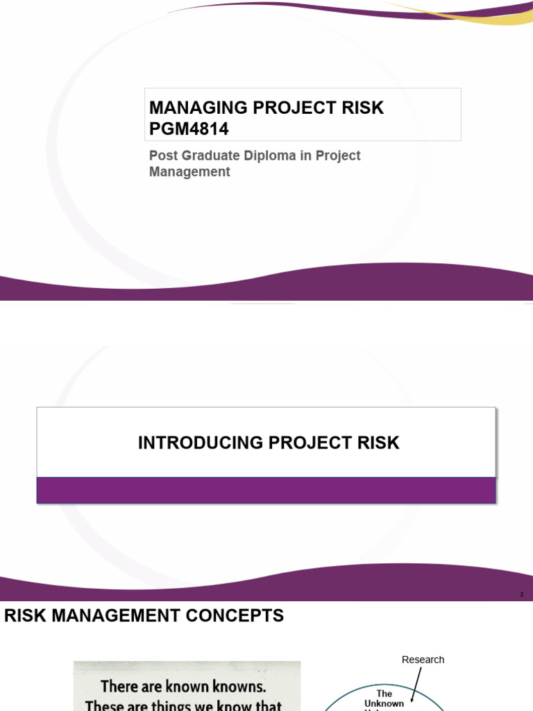 4814 - Project Risk Management 1 | PDF | Risk | Risk Management