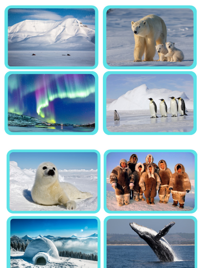 Vocabulari Pol Nord | PDF