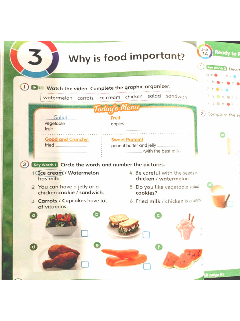 Cambridge Primary Activity Book Path 2 | PDF