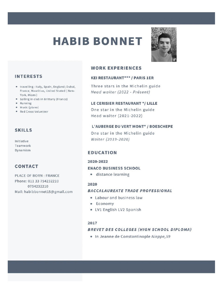 CV Anglais P | PDF