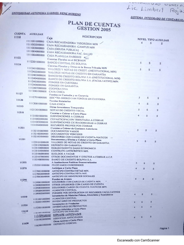 Plan de Cuentas de Contabilidad Gubernamental | PDF