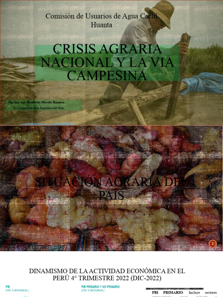 Crisis Agraria y Situación Campesina en Perú | PDF | Perú | Economias