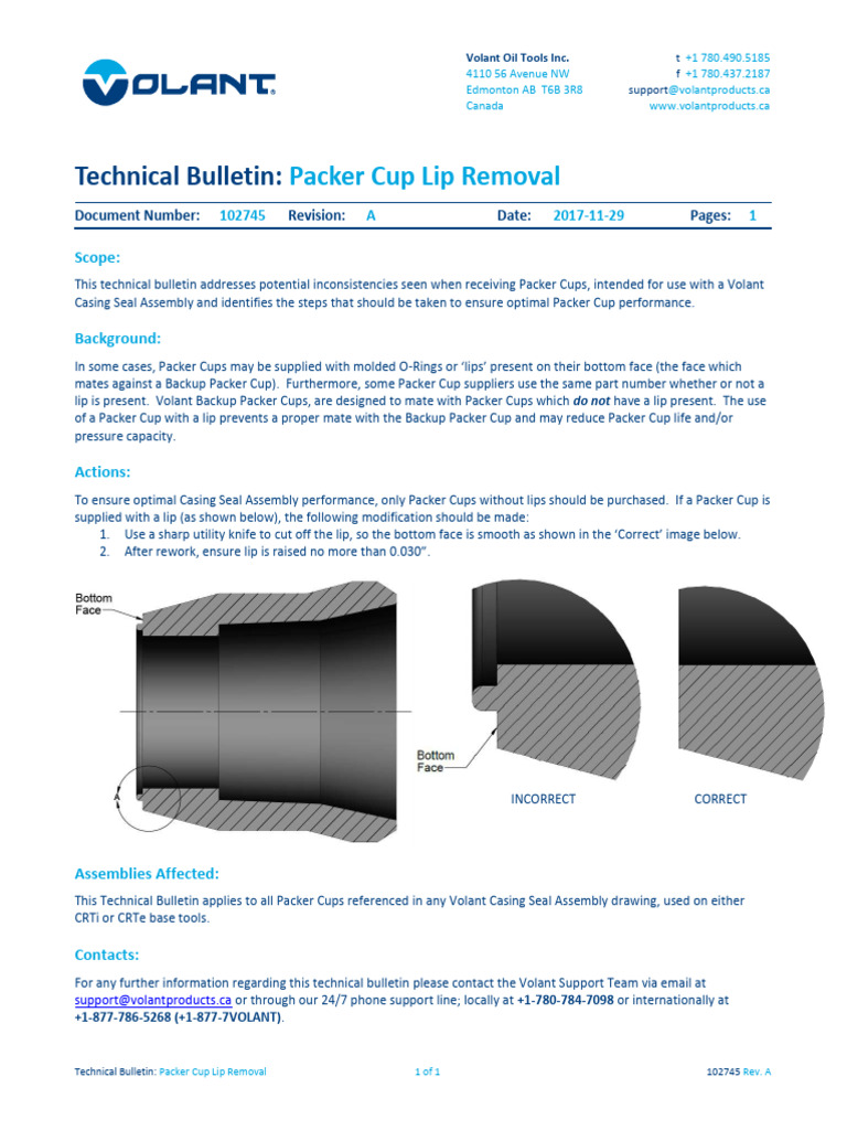 Packer Cup Lip Removal Guide | PDF