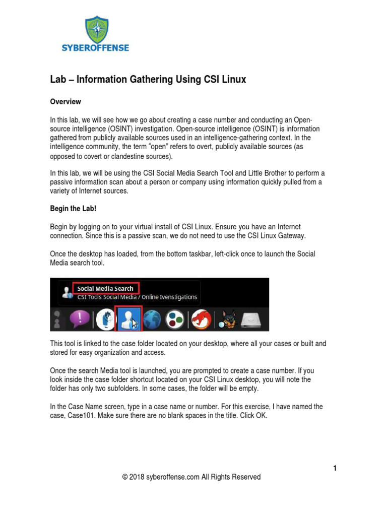 15 Lab+-+Gathering+Information+Using+CSI+Linux | PDF | Computing | System Software