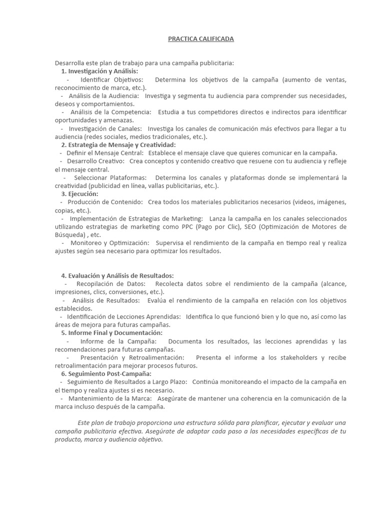 Plan de Trabajo Campaña Publicitaria X | PDF | Publicidad | Marketing
