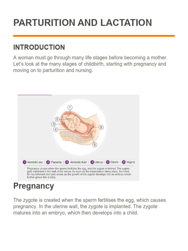 Biology Ppt Parturition And Lactation Pdf Lactation Fetus