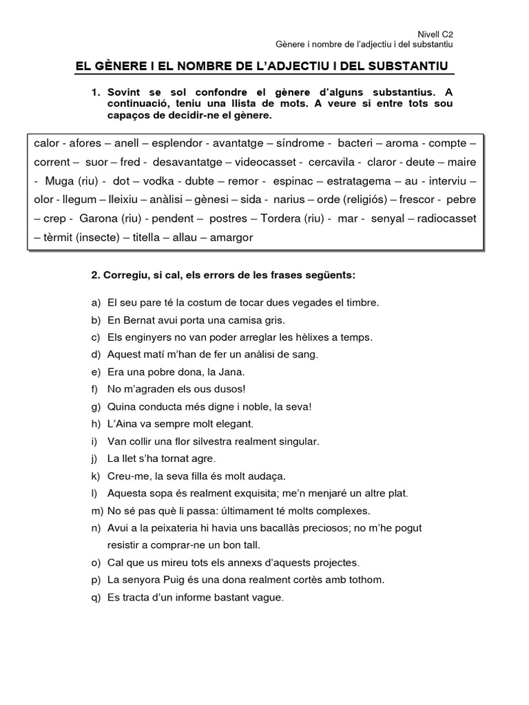 Exercicis Gènere I Nombre de Ladjectiu I El Substantiu | PDF