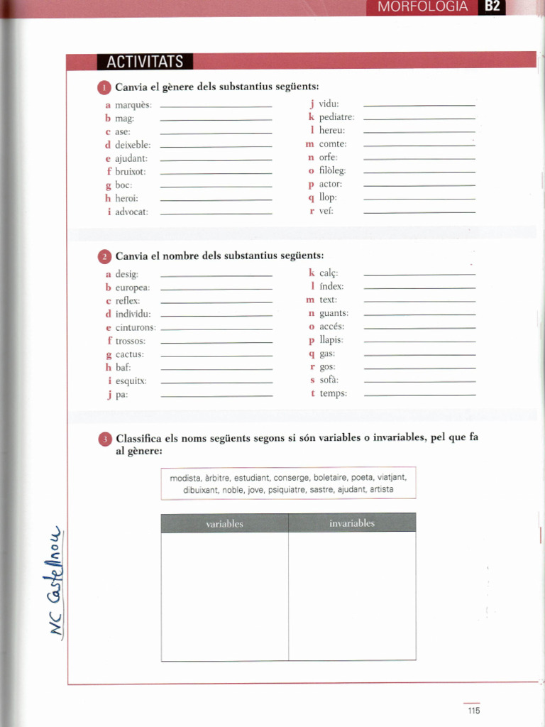 El Substantiu, Activitats | PDF