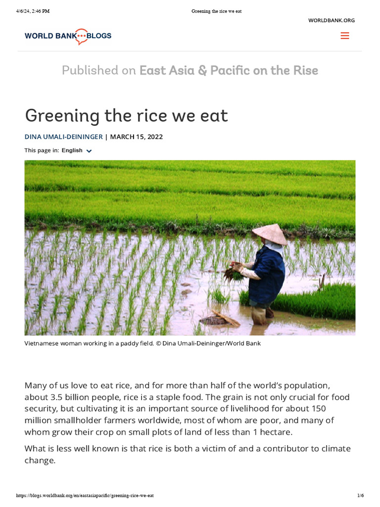 Greening Rice for Climate Resilience | PDF | Rice | Agriculture