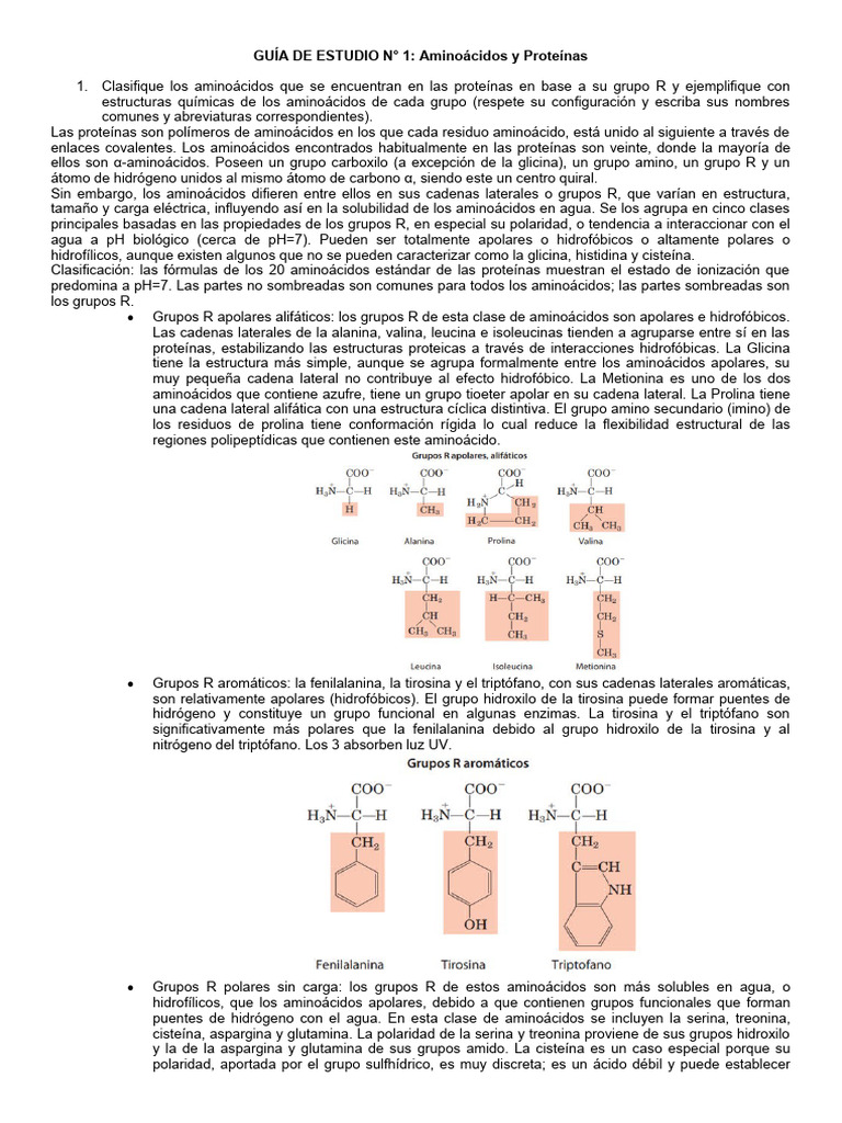 Guias de Estudio 1er Parcial | PDF | Inhibidor de la enzima | Enzima