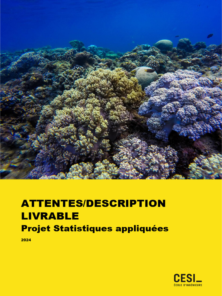 Livrables du Projet Statistiques 2024 | PDF | Responsabilité sociétale ...
