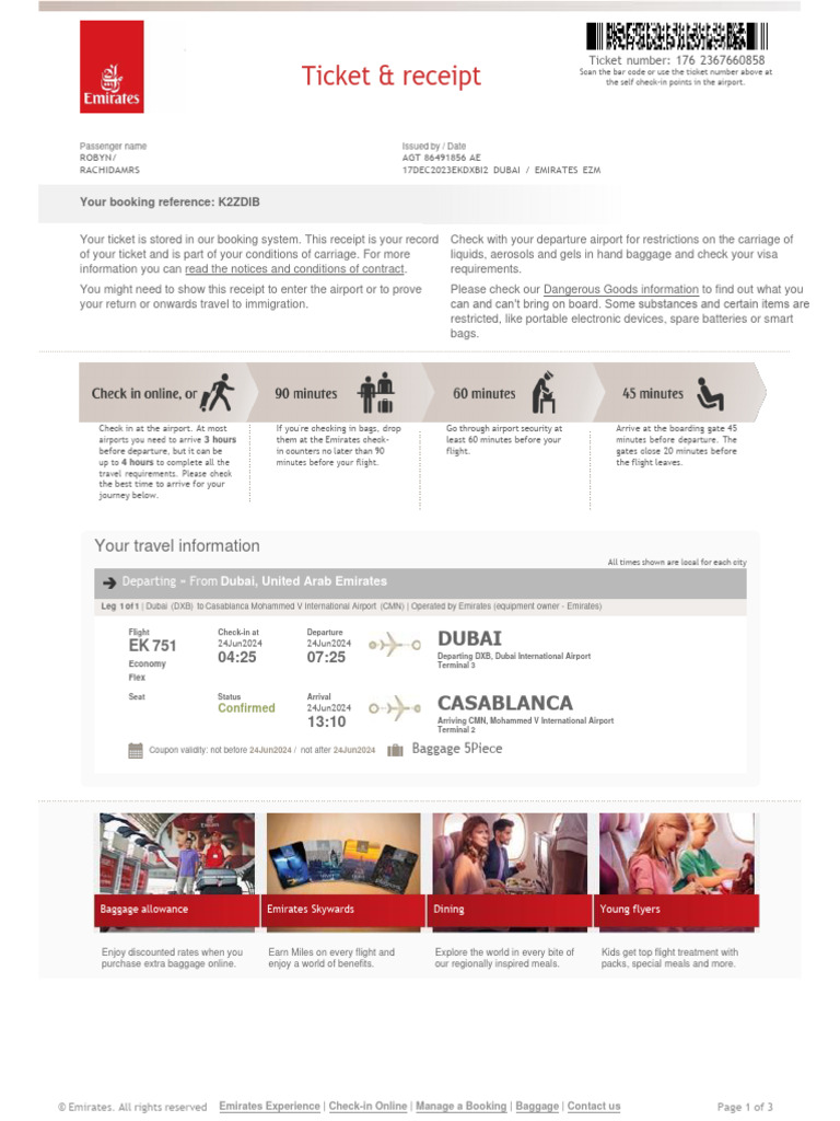 EFWEFEWF | PDF | Baggage | Aviation