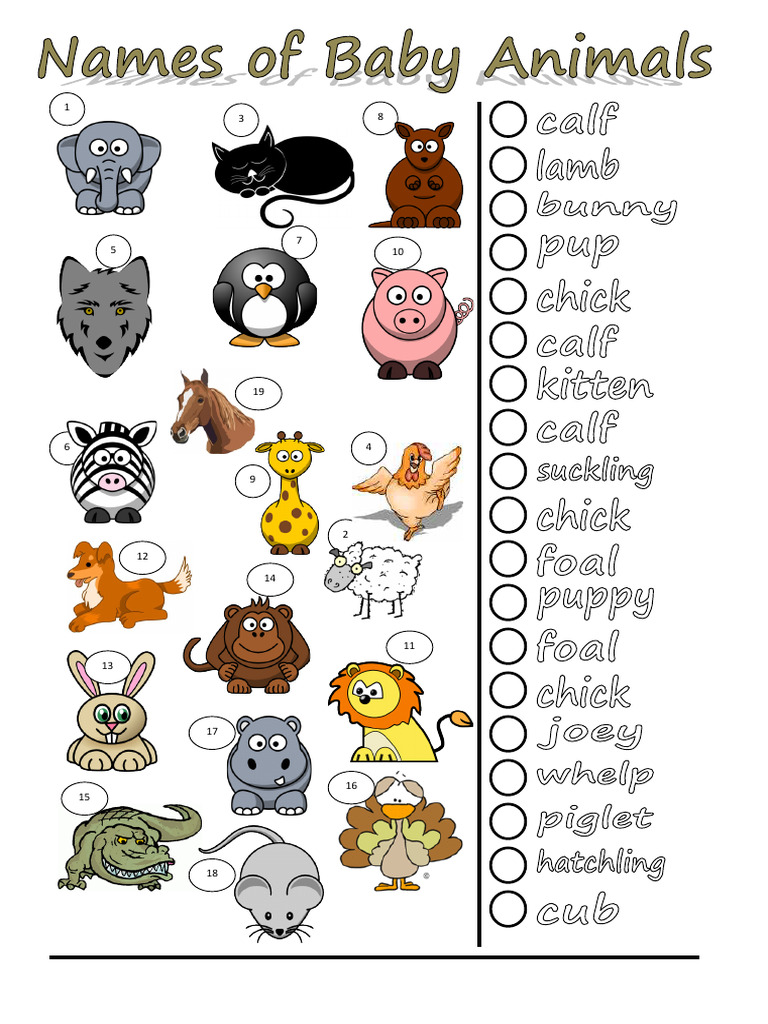 baby-animals-fun-activities-games-grammar-drills-oneonone-activ_39499 | PDF