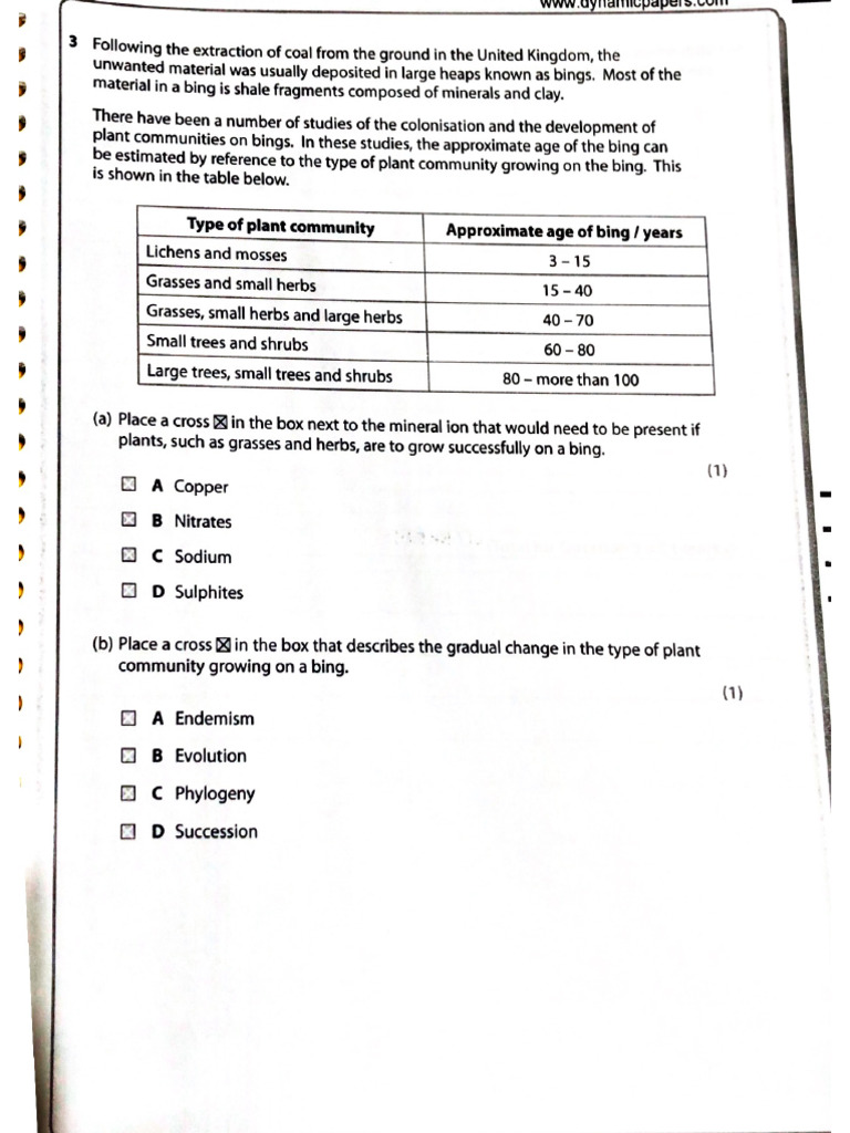 Succession Test | PDF