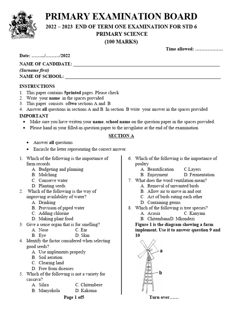 Science 6 Exams | PDF