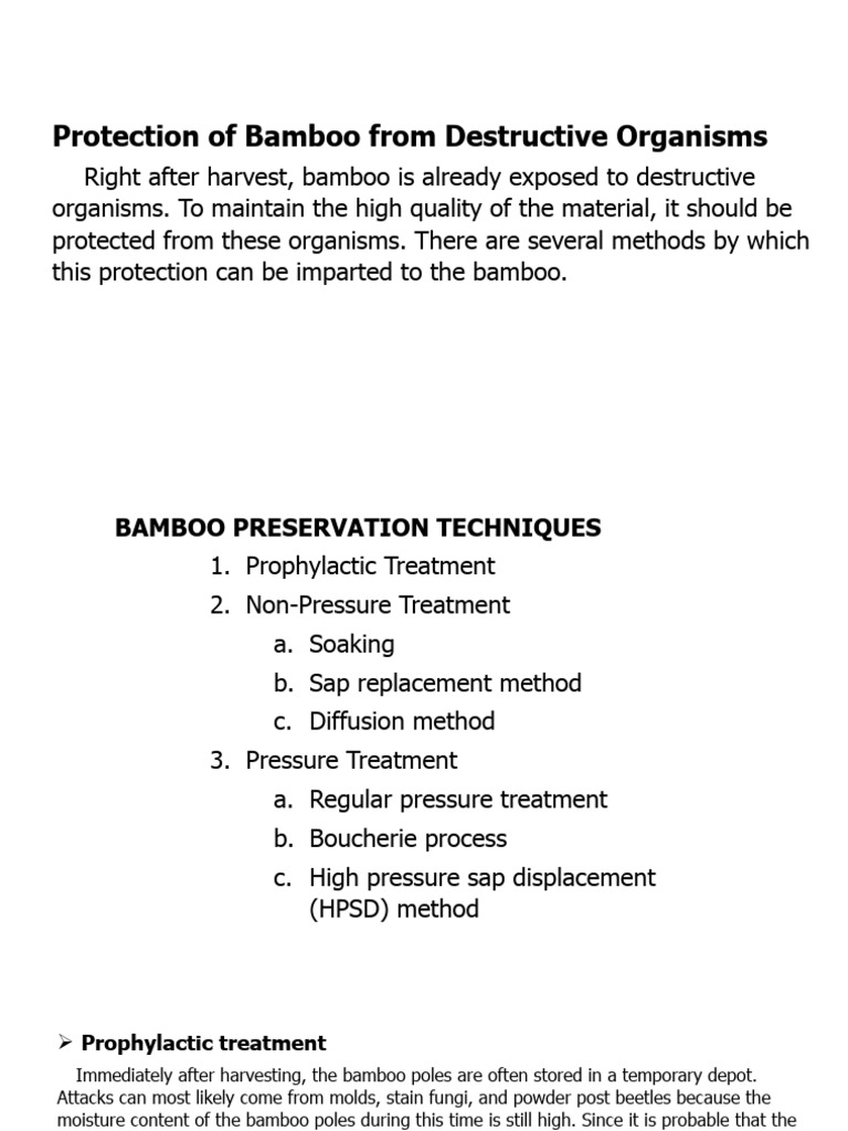 Bamboo Preservation Techniques | PDF | Materials