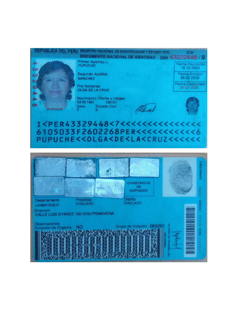 Documento 19 - Merged - Merged | PDF