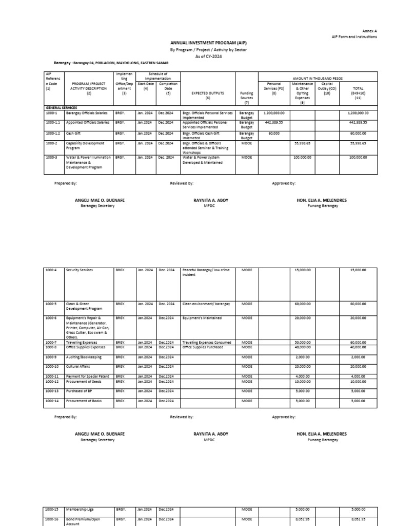 Annual Investment Program 2024 | PDF | Finance & Money Management