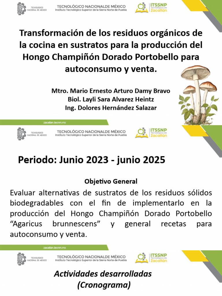 Hongo Portobello | PDF | Compost | Residuos