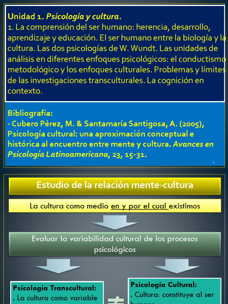 Teórico 1 Psicología Cultural y Transcultural. Del Cueto | Descargar ...