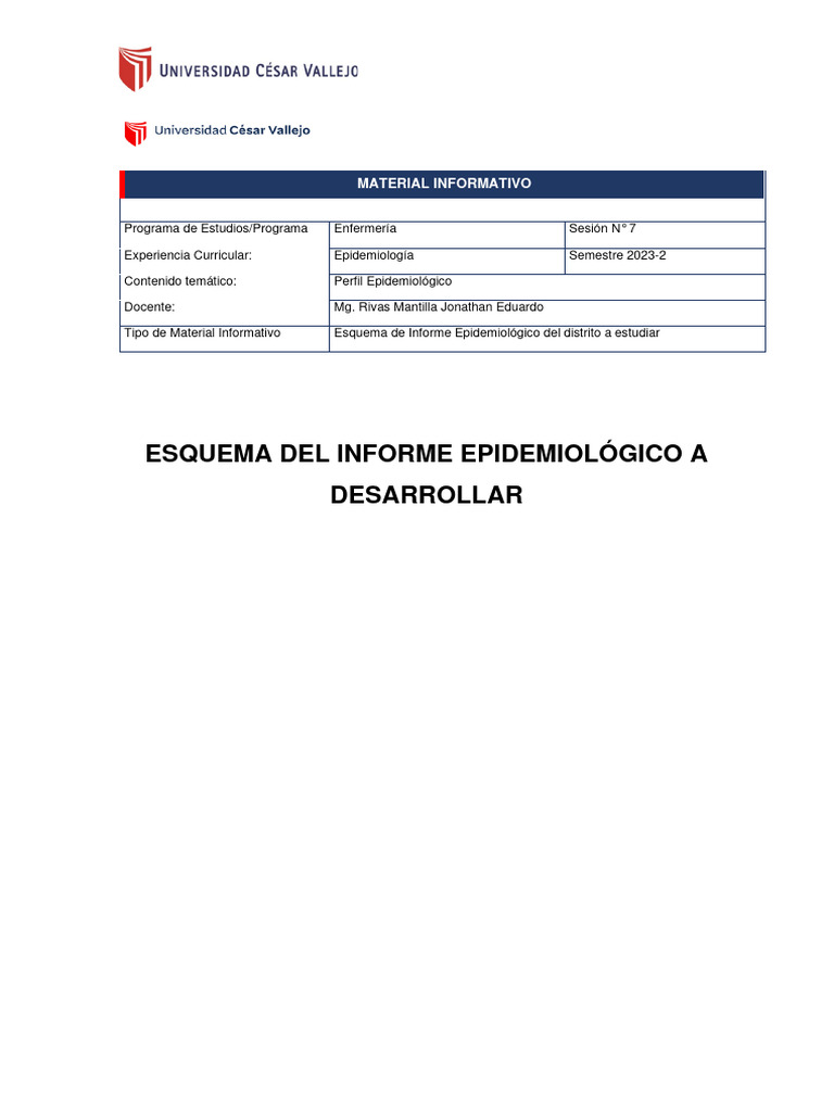 7. Material Informativo. Esquema de informe | PDF