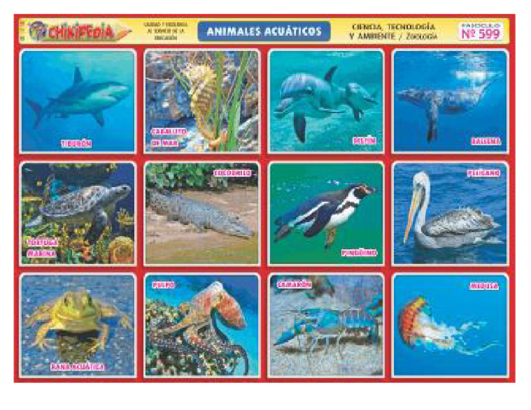 Animales Acuaticos | PDF