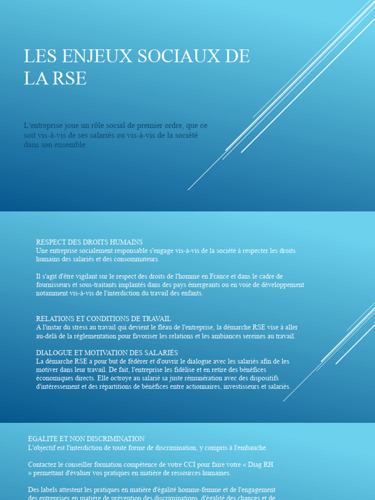 Les Enjeux Sociaux de La Rse | PDF | Responsabilité sociétale des entreprises | Accessibilité