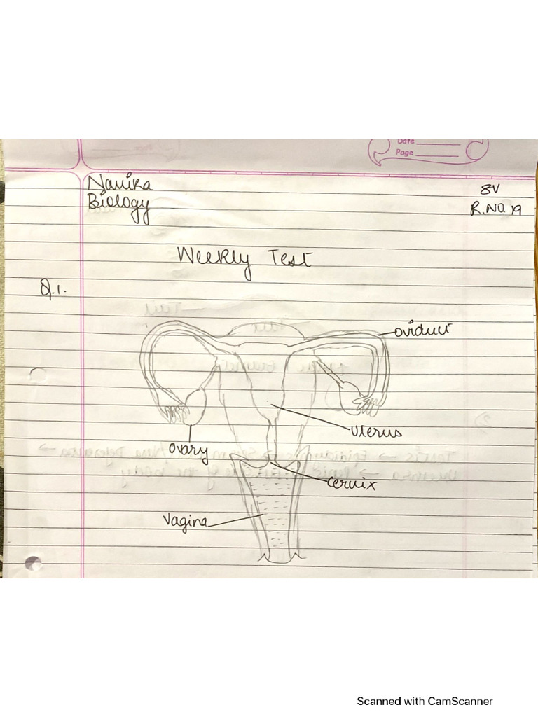 AAA Bio Test - 20210123131831 | PDF