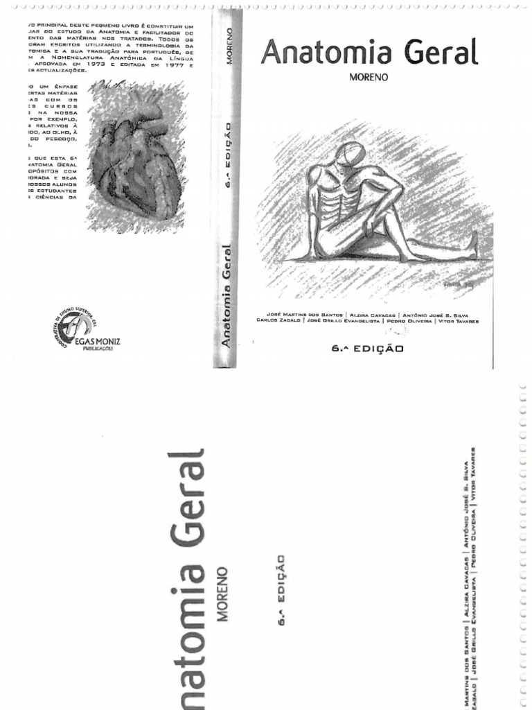 Anatomia Geral Moreno | PDF