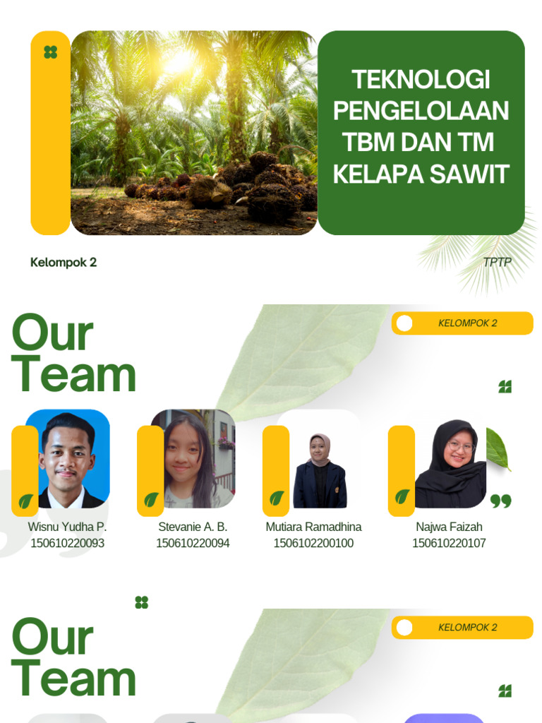 Tugas Kelompok 2 - TBM Dan TM Kelapa Sawit | PDF