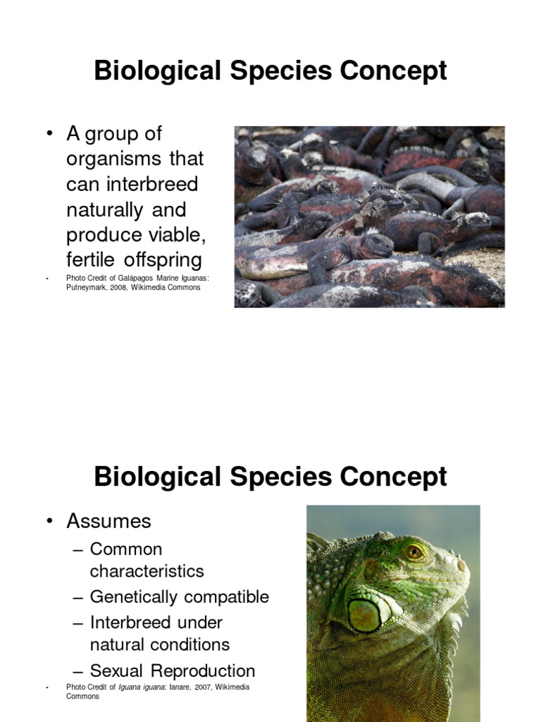 Understanding the Biological Species Concept | PDF | Taxonomy (Biology ...