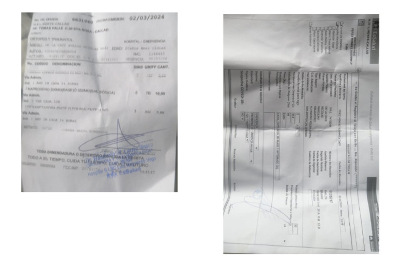 Nicolas de La Cruz Avalos | PDF