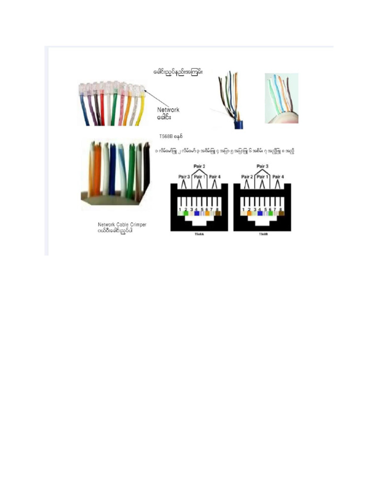 Net Con3 | PDF