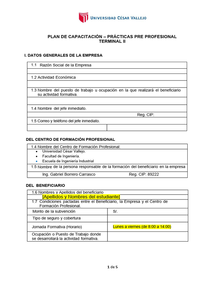Plan De Capacitación Pdf Negocios Económicos Economias