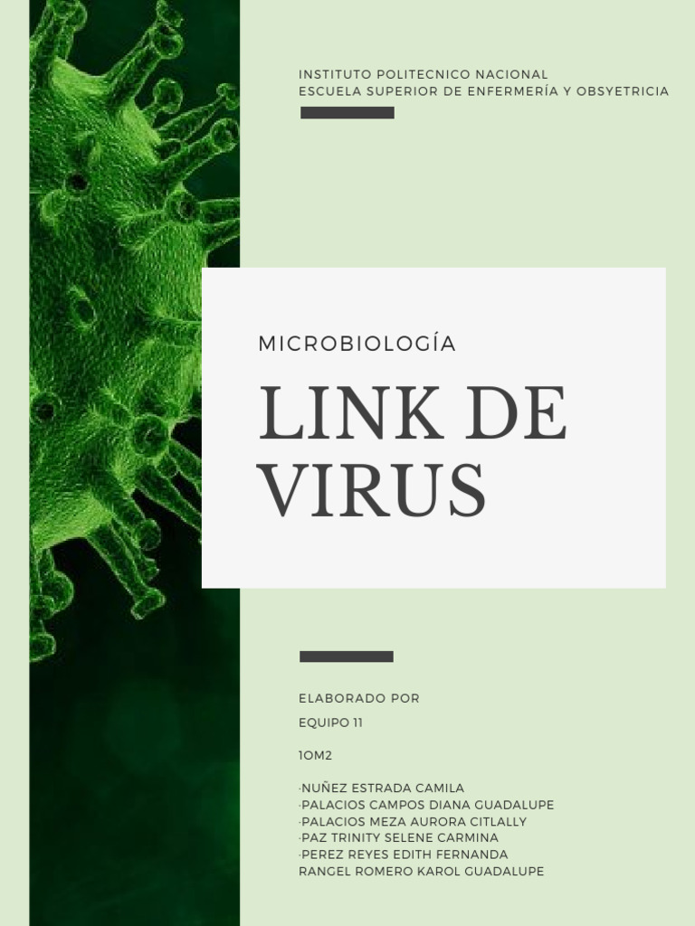 Equipo 11 - Link de Virus - 1om2 | PDF | Virus | Sistema inmune