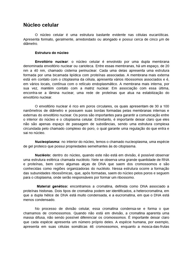 Núcleo Celular E Divisão Celular Pdf Mitose Meiose