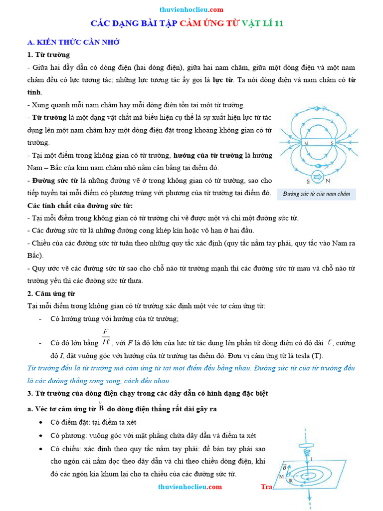 Cac Dang Bai Tap Ve CAM UNG TU Ly 11 Co Loi Giai | PDF
