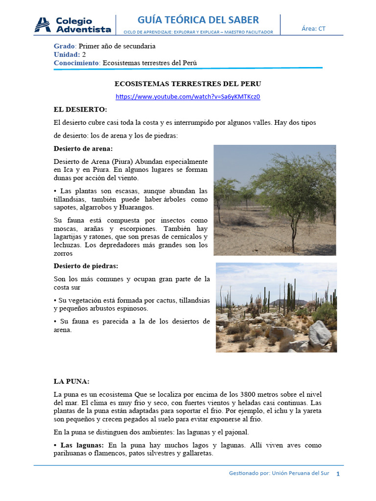 08 ECOSISTEMAS TERRESTRES DEL PERU | Descargar gratis PDF | Desierto | Geografía Física