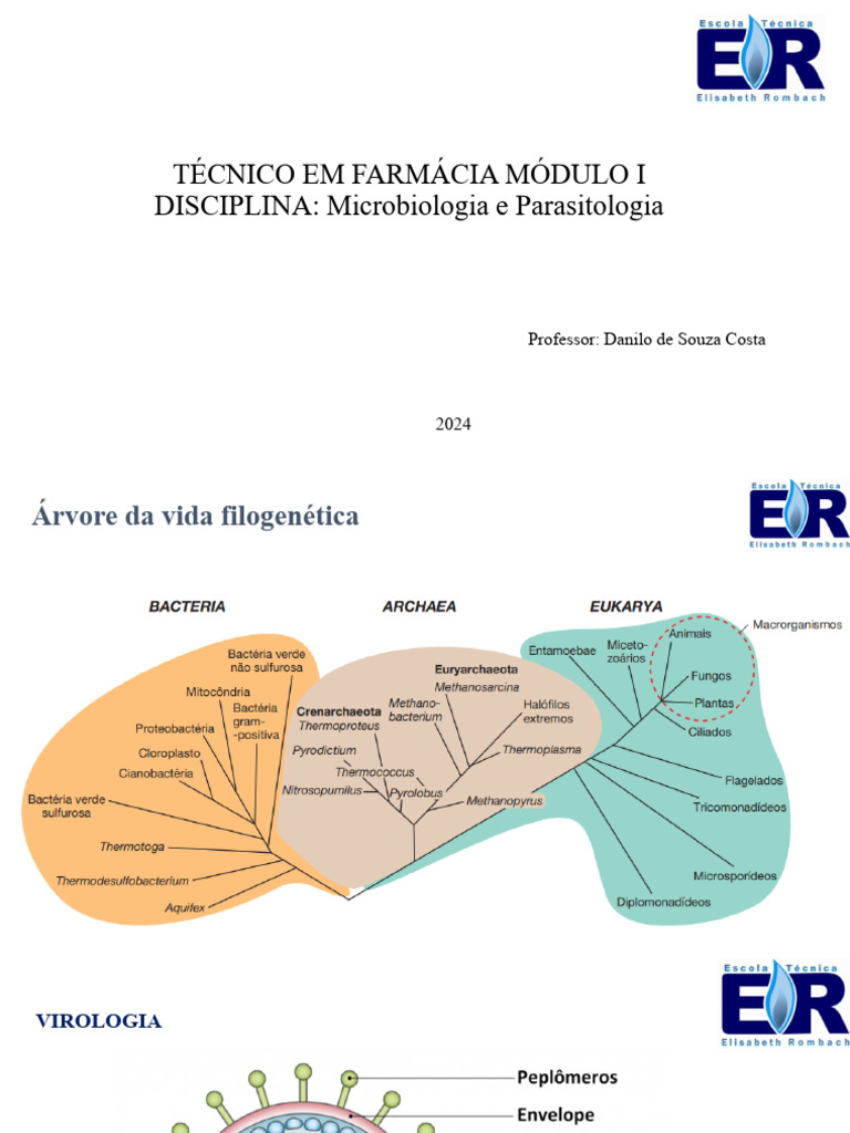 Microbiologia e Parasitologia Aula 7 Revisão Celular | PDF | Célula T ...