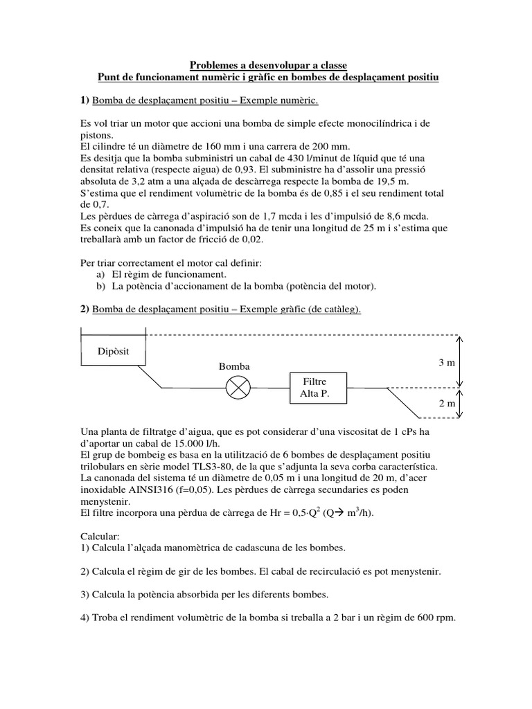 3 - Problemes A Desenvolupar A Classe - PF Num Graf Despl Positiu | PDF