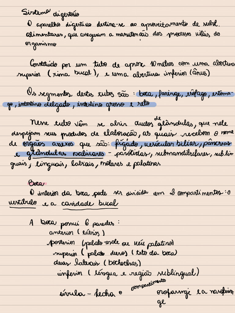 Sistema Digestório - 240625 - 094107 | PDF