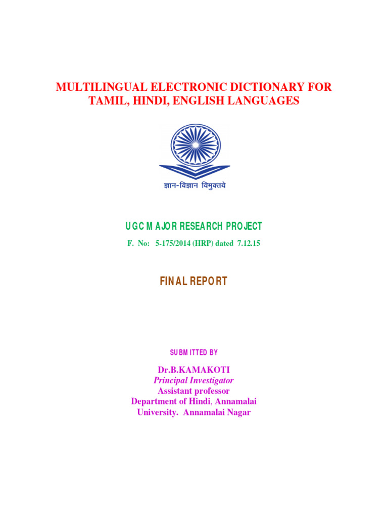 final_report_MULTILINGUAL | PDF | Word | Window (Computing)