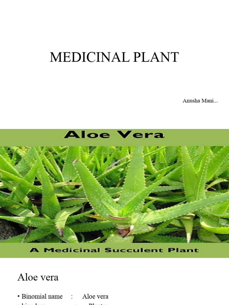 Aloe vera | PDF
