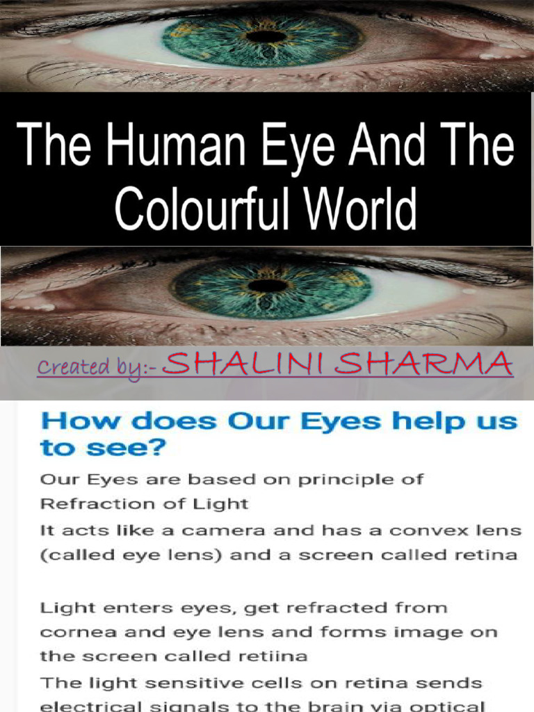 Human Eye Structure and Defects of Vision | PDF | Eye | Human Eye