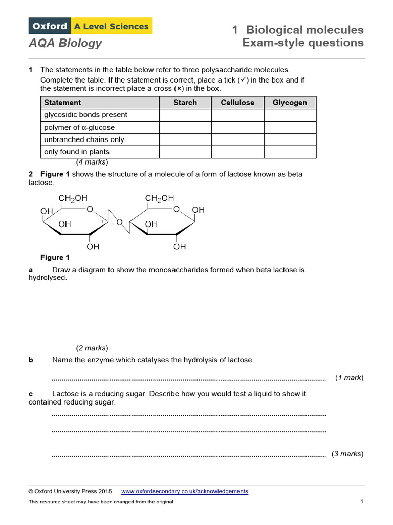 Unit 1A Test | PDF | Hydrolysis | Starch