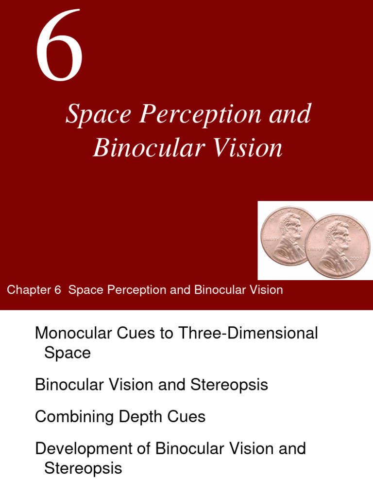 Binocular Vision & Depth Cues | PDF | Stereoscopy | Visual Perception