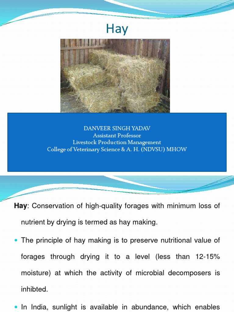 Hay | PDF | Hay | Legume