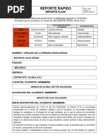 Formato FLASH Report | PDF