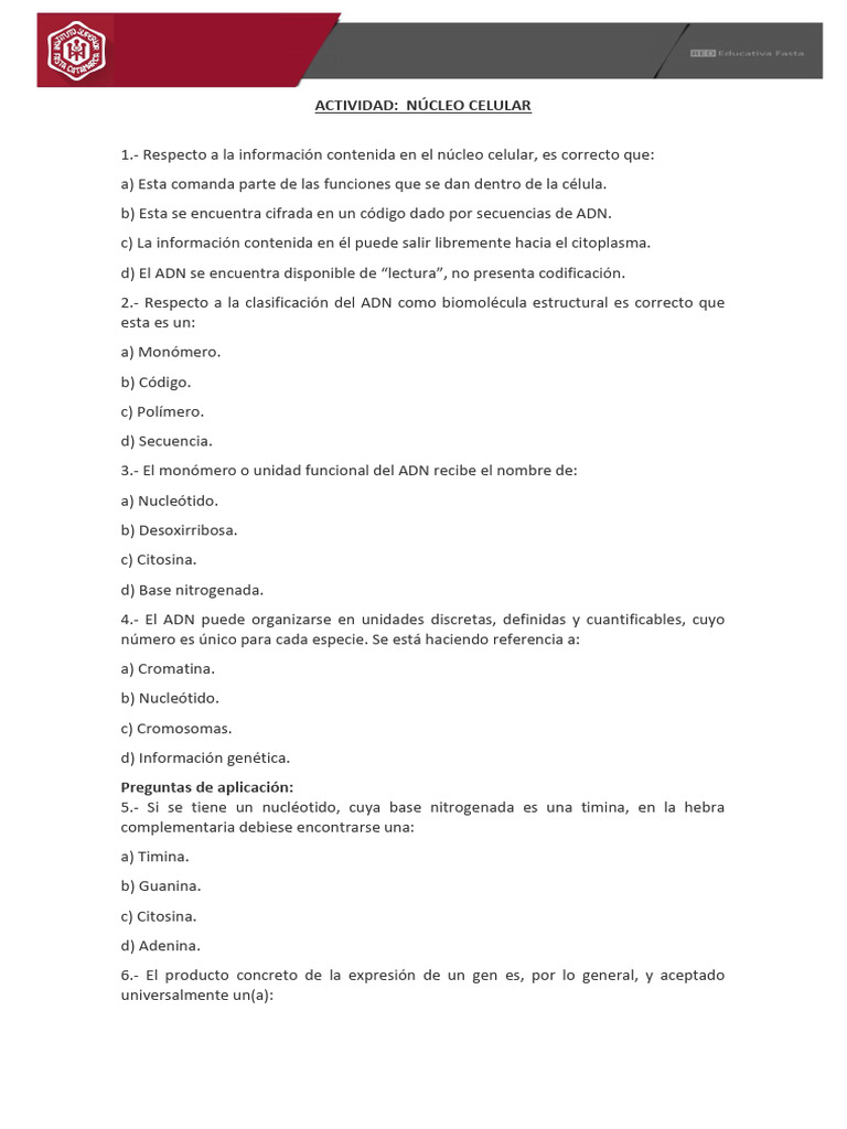 ACTIVIDAD Nucleo Celular | PDF | Adn | Cromosoma